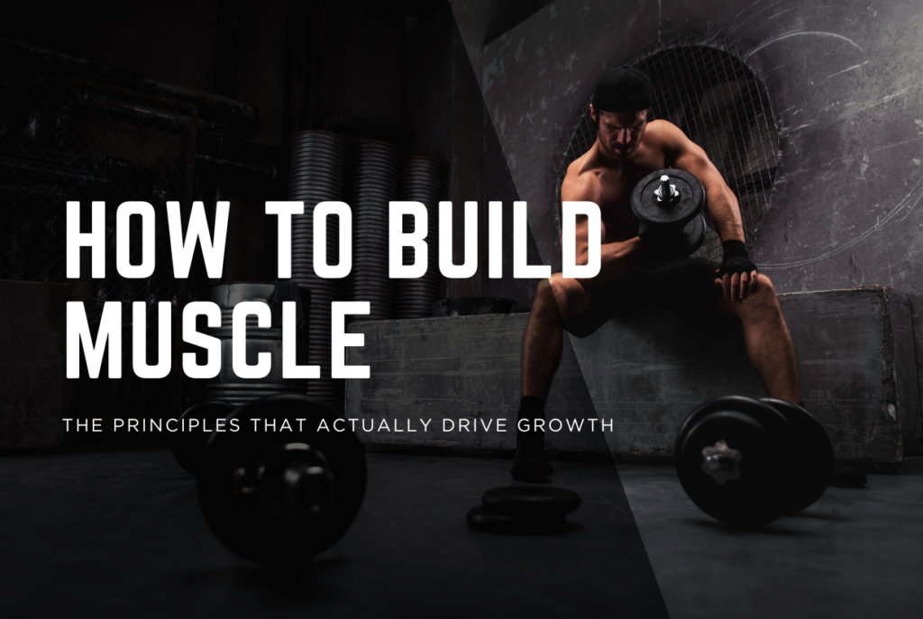 How to Build Muscle: The Principles That Actually Drive Growth ...